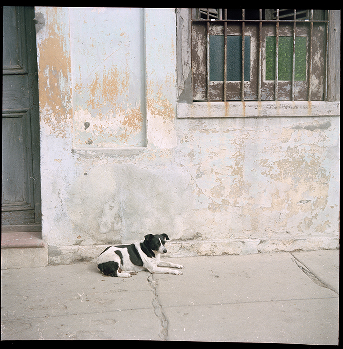 My Trip to Cuba in 1999 | Dodge & Burn: Decolonizing Photography History
